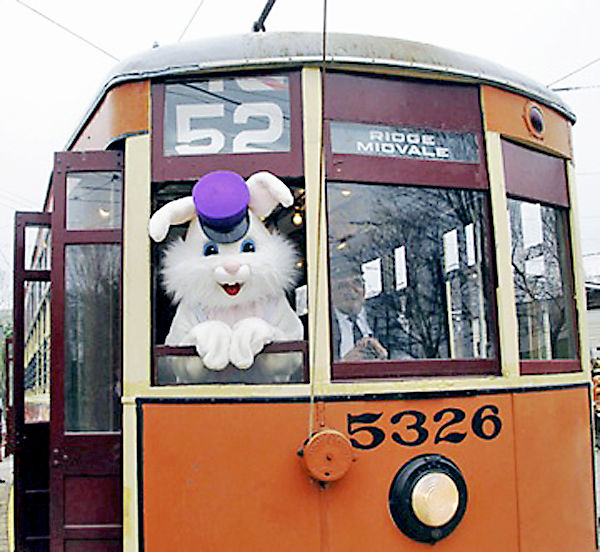 Bunny Trolley - The Almanac